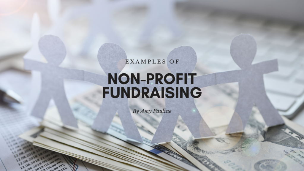 Non-Profit Fundraising - Amy Pauline
